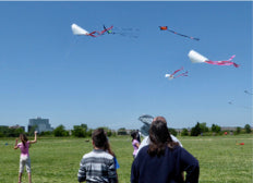 Spring is in the air and so are kites! April is National Kite Month ...
