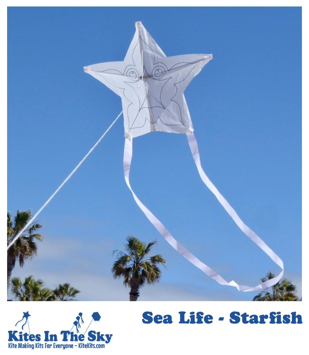 Sea Life - Starfish Kite – Kites In The Sky